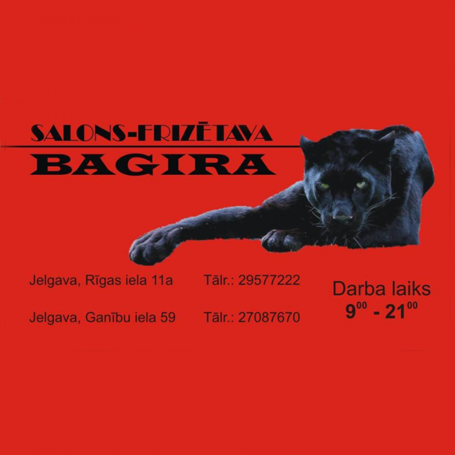 Bagira salons - sūdzības un atsauksmes